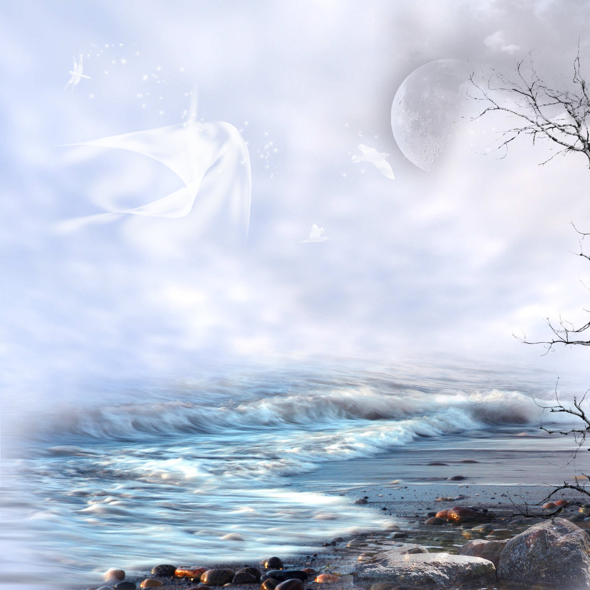 Studio Background Free Download in Zip File - ALBUM PSD